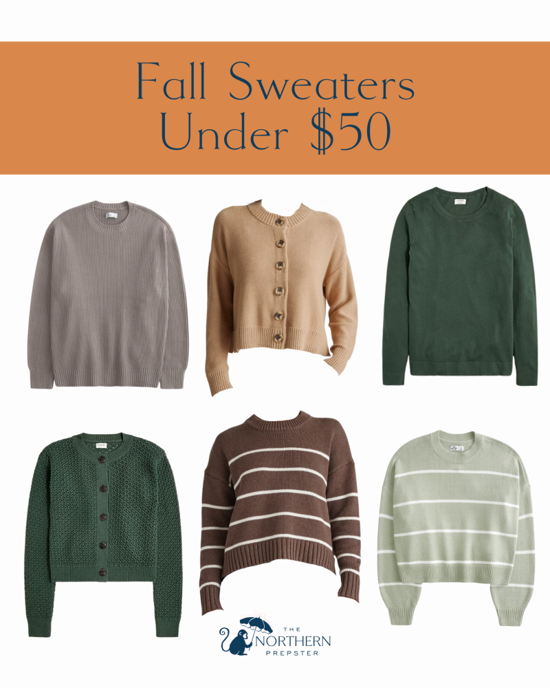 Must-Have Fall Sweaters For 2024 – The Northern Prepster